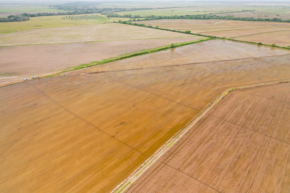 Woven: Flooded Rice Fields - Paprika Studios